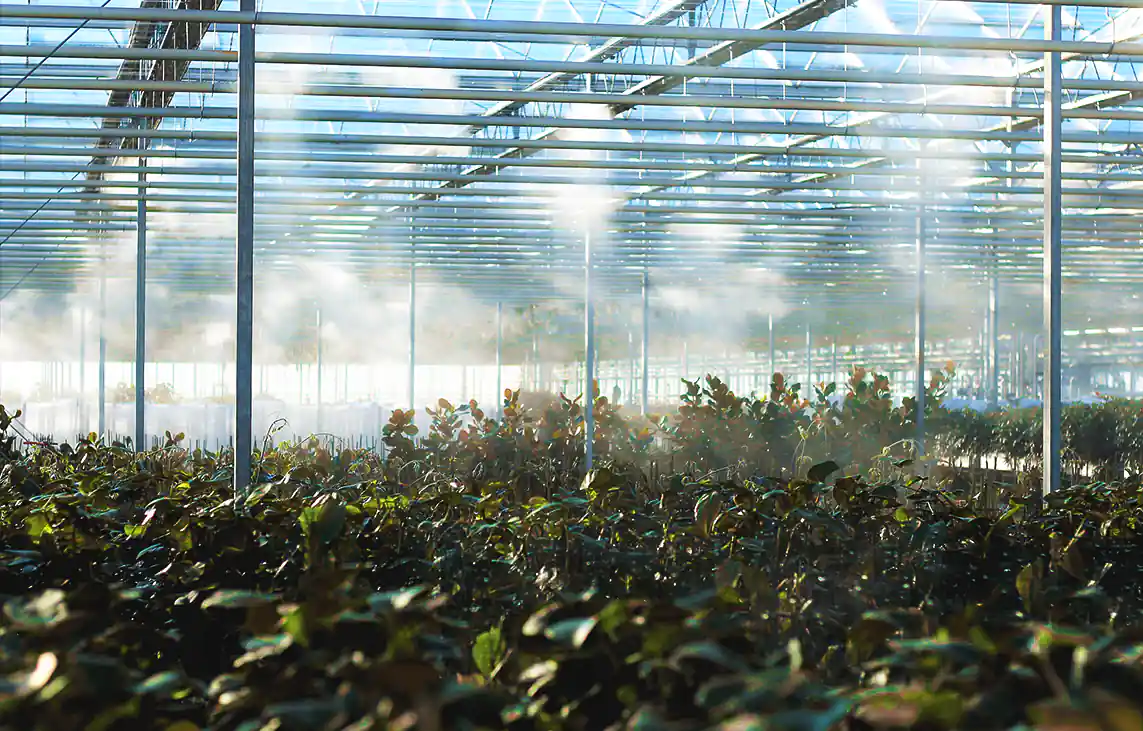 Biogea | Nuestros Proyectos | Equilibra tu Huella de Carbono